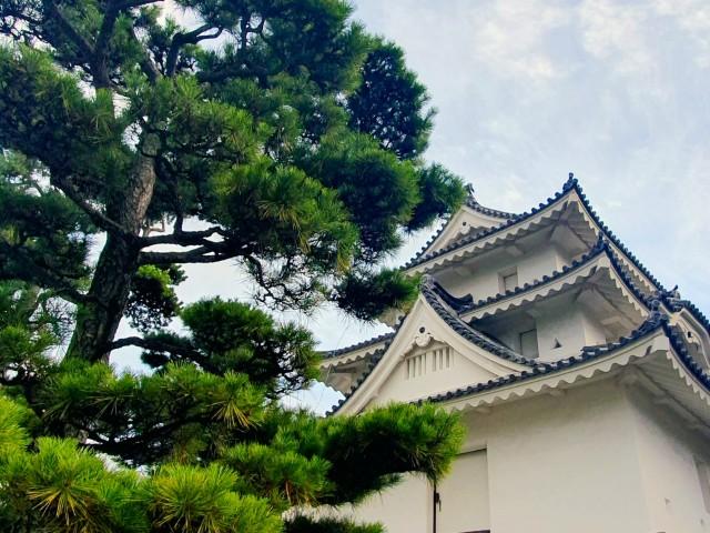 What to do in Takamatsu, Japan: nature, culture, travel tips